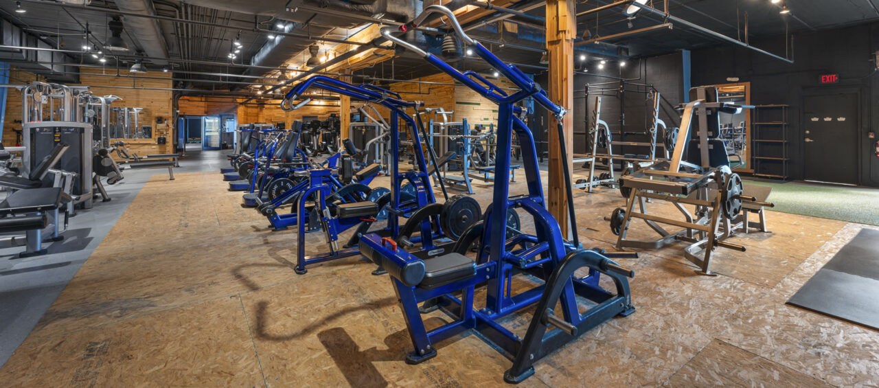 Open Gym - Control Results